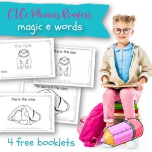 CVCe Hidden Pictures - Free Word Work