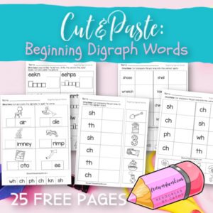 Beginning Digraph Flashcards - Free Word Work