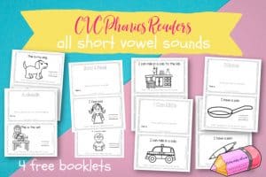 CVC Booklets - Free Word Work