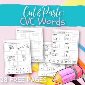 CVC Booklets - Free Word Work