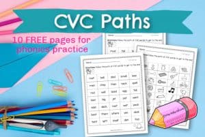 Reading Mazes: CVC Paths - Free Word Work