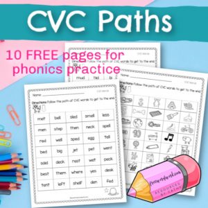 CVC Hidden Pictures - Free Word Work