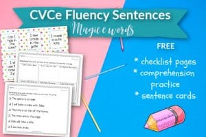 CVCe Fluency Sentences (Magic e) - Free Word Work