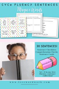 CVCe Fluency Sentences (Magic e) - Free Word Work