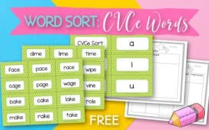 CVCe Word Sort - Free Word Work