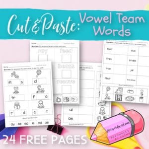 Vowel Team Flashcards - Free Word Work