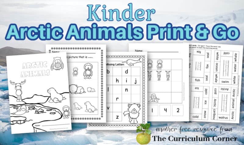 Arctic Animals Booklet - Free Word Work