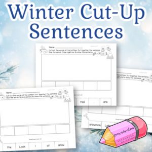 Winter Phonics Worksheets - Free Word Work