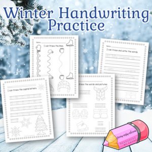 Winter Phonics Worksheets - Free Word Work