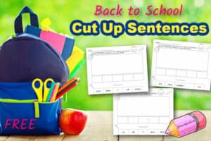 Back to School Cut Up Sentences - Free Word Work