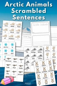 Arctic Animals Scrambled Sentences - Free Word Work