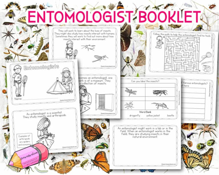 Entomologist Booklet - Free Word Work