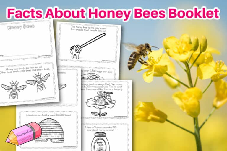 Facts About Honey Bees Booklet - Free Word Work