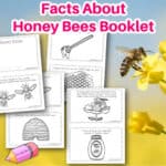 Home - Free Word Work