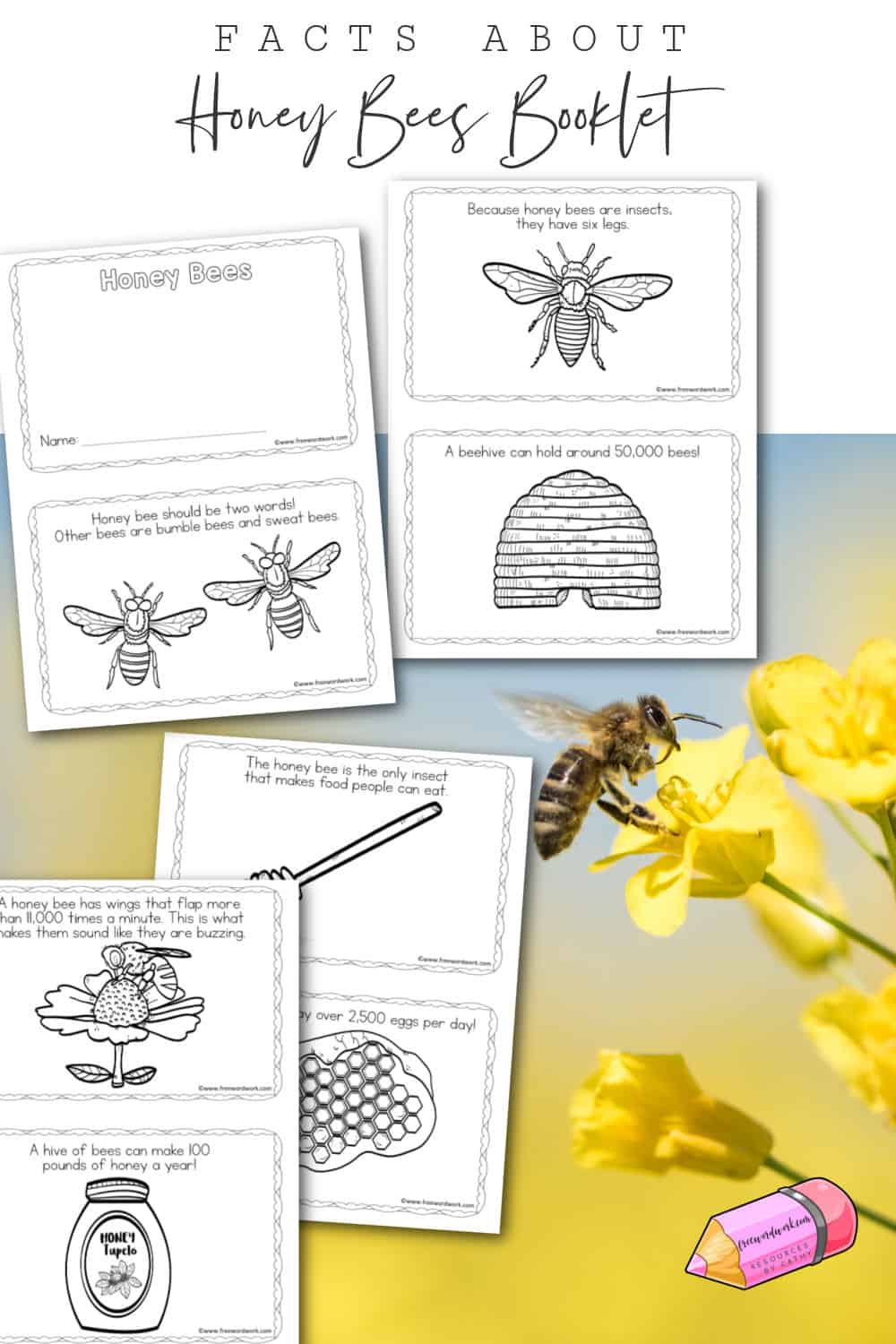 Facts About Honey Bees Booklet - Free Word Work
