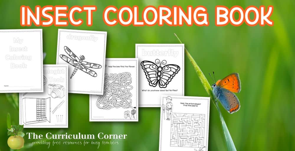 Insect Coloring Book - Free Word Work