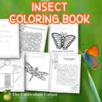 Home - Free Word Work