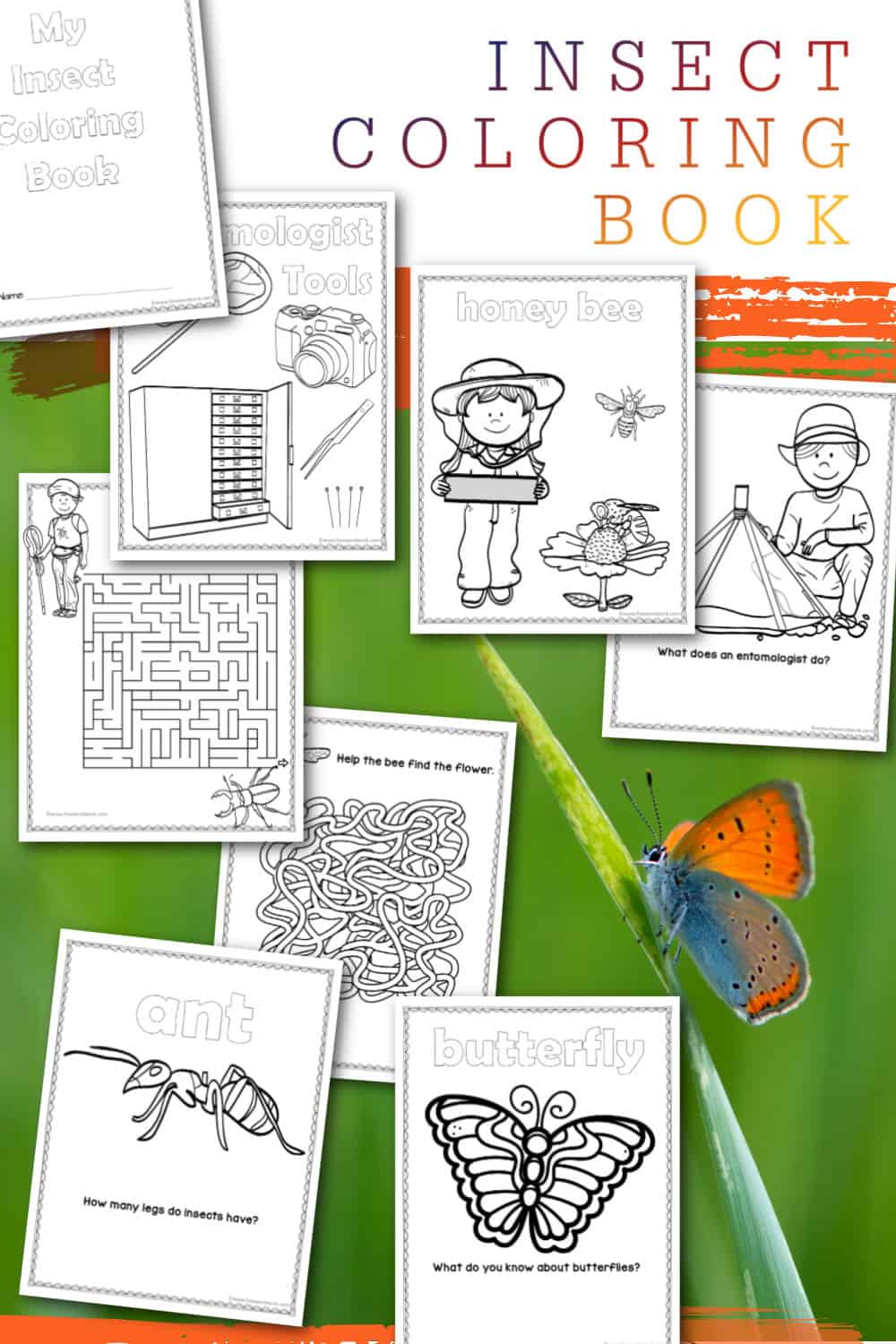 Insect Coloring Book - Free Word Work
