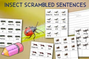 Insect Scrambled Sentences - Free Word Work