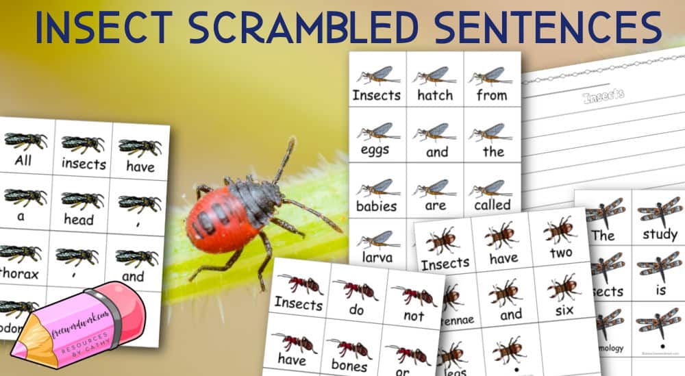 Insect Scrambled Sentences - Free Word Work