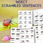 Home - Free Word Work