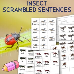 Home - Free Word Work