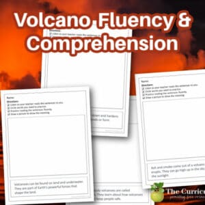 Reading Archives - Free Word Work